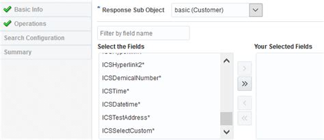 Custom Fields Discovery With The Oracle Netsuite Adapter