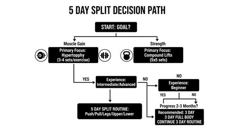Your Ultimate Guide To The 5 Day Workout Split Zing Coach