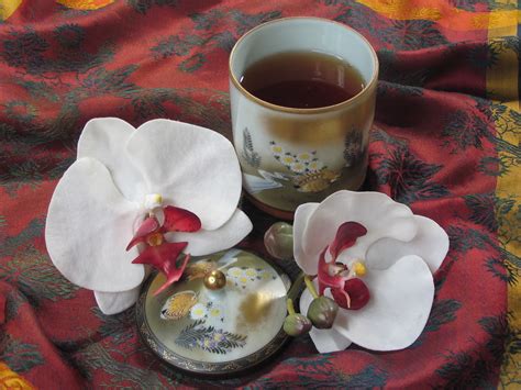 Elaines Wild Orchid Teas Premium Loose Leaf Teas From All Around The World