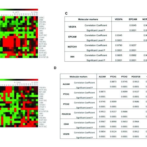 Gene Expression Profiles Of Ctcs From Pdac Patients Ab Download Scientific Diagram