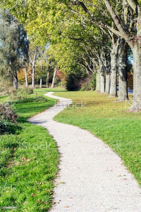 녹색 잔디와 나무가있는 여름 공원의 보행자를위한 도로 거리에 대한 스톡 사진 및 기타 이미지 거리 골목 공원 Istock