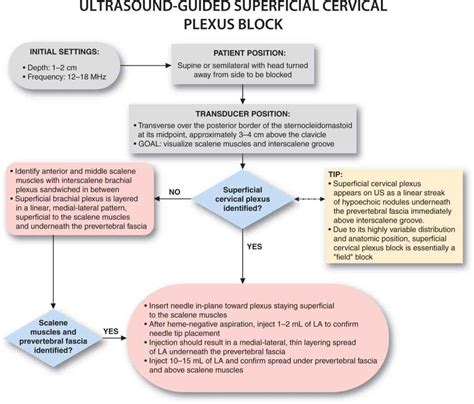 Local Anesthesia Cervical Plexus Block At Marcus Dacomb Blog