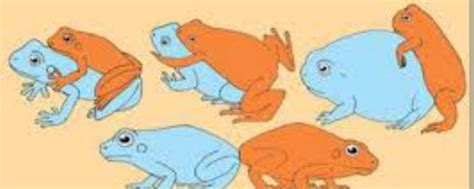 Sex Snake Farm Sex Snake Farm 嬨嬨嬨⚕️b 2024 ВКонтакте Sex Snake Farm Sex Snake Farm 嬨嬨嬨⚕️b 2024 ВКонтакте