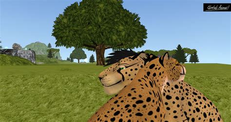 Surounded By Love By Cheetah Animos On Deviantart