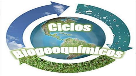 Solution Ciclos Biogeoqu Micos Studypool