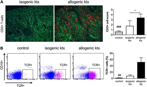 Characterization Of Infiltrating Leukocyte Download Scientific Diagram