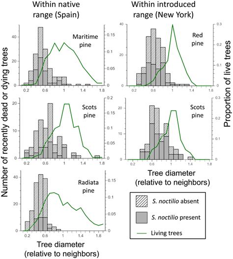 insect infestations patterns comparison of infestation patterns by