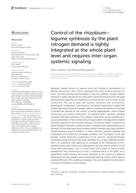 Pdf Control Of The Rhizobiumlegume Symbiosis By The Plant Nitrogen
