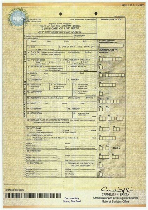 Nso Birth Certificate Artofit