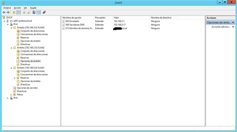 Dhcp Windows Server Para Vlans Potenza