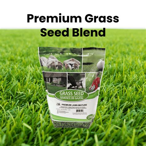 Premium Grass Seed Eco Solutions