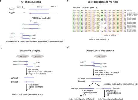 Targeted Deep Sequencing And Crispresso Analysis A Pcr And Sequencing Download Scientific