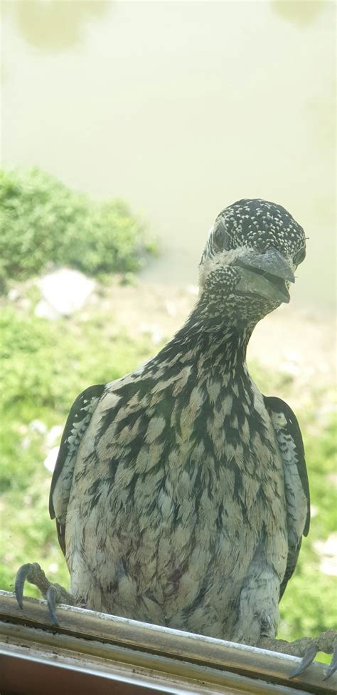 Ansh Jaiswal Fotografia