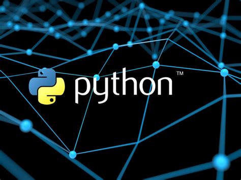 high quality python development services upwork