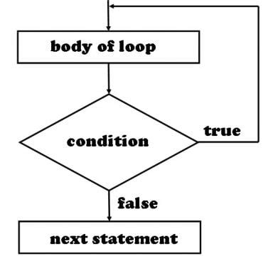 JavaScript While Loop And Do While Loop With Programming Examples