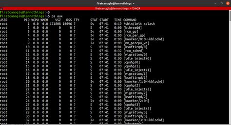 Örneklerle Linuxta Kill Komutu Nasıl Kullanılır Linux Data Linux Sysadmin