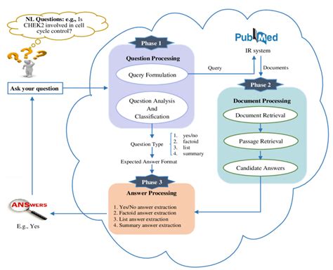 Overall Architecture Of The Proposed Biomedical Question Answering System Download Scientific