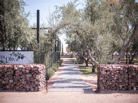 Queen Creek Olive Mill Celebrates 20 Years In Arizona