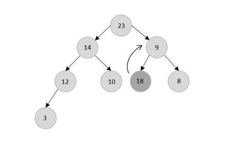 Heap Sort Algorithm