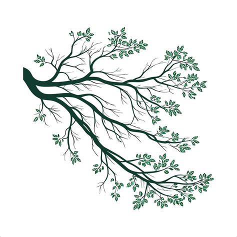 Tree Branches Artdrawing 57037616 Vector Art At Vecteezy
