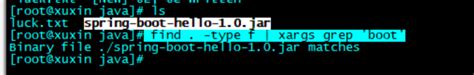 Linux在当前目录下面模糊查找文件命令find Name 模糊查找 Csdn博客