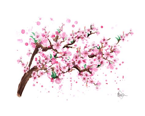 Japanese Cherry Blossom Tree Drawing