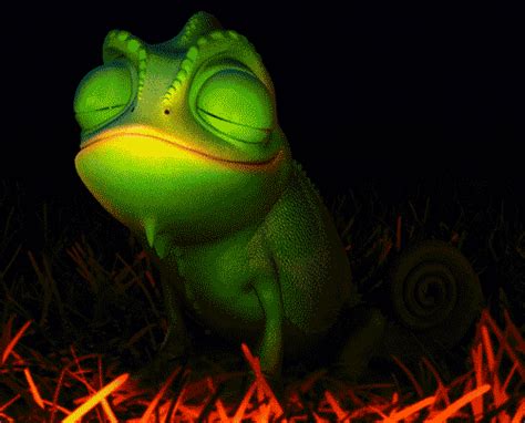 Chameleon Nod S Find And Share On Giphy