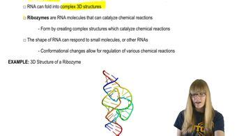 Properties Of RNA Channels For Pearson