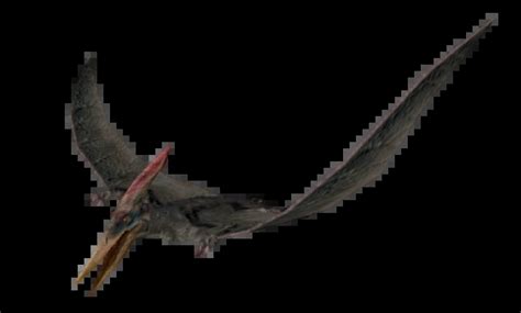 Pteranodon Ingens Carnivores Download Database Fandom