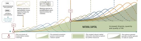 An Introduction To Syntropic Agriculture Part 1