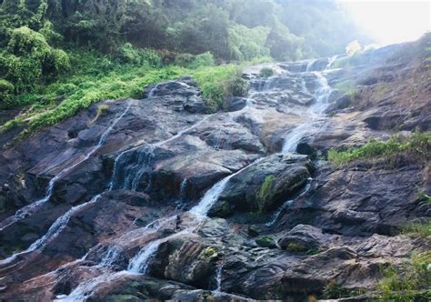 马峦山郊野公园人流车流双管控 平安顺畅过节