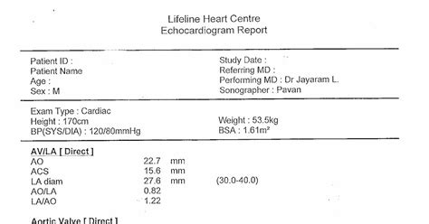 Echocardiogram Report Template