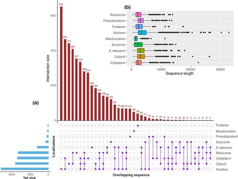 a pictorial representation of the number of overlapping mrna sequences