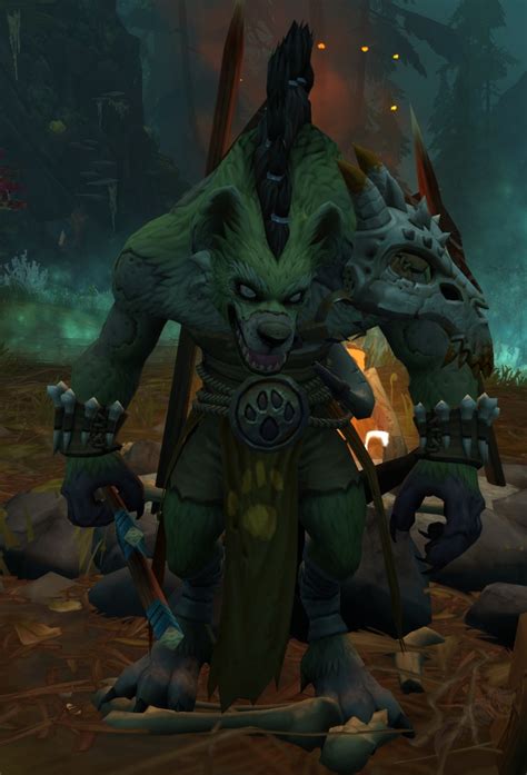 Brackenhide Shaman Npc World Of Warcraft Brackenhide Shaman Npc World Of Warcraft