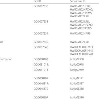 Sequences Involved In Sex Determination Functions And SSRs Distribution Download Table