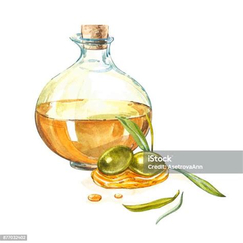 익은 녹색 올리브의 분기는 달콤한 기름 부 어 방울 그리고 올리브 기름 많아요입니다 수채화 물감 그리고 식물 그림을 흰색 배경에 고립입니다 0명에 대한 스톡 벡터 아트 및