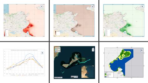 Eo Based Ecosystem Assessment To Support Blue Carbon Evaluation