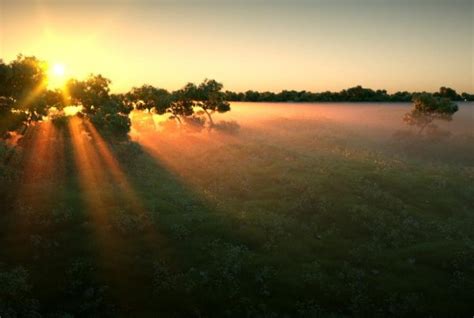 Guides OctaneRender For Unity