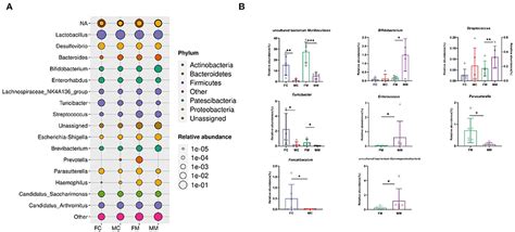 Frontiers Sex Hormones Influence The Intestinal Microbiota
