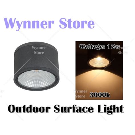 Designer Lighting Outdoor Surface Downlight Weather Proof Mounted