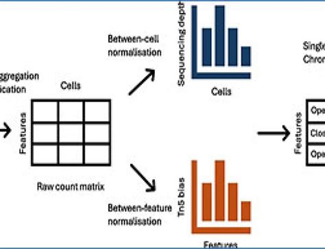 Borzoi Predicting Rna Seq Coverage From Dna Sequence As A Unifying