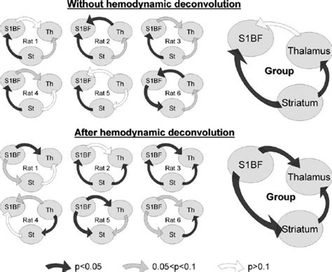 Functional Connectivity Estimated From Granger Causality Oriented Download Scientific Diagram