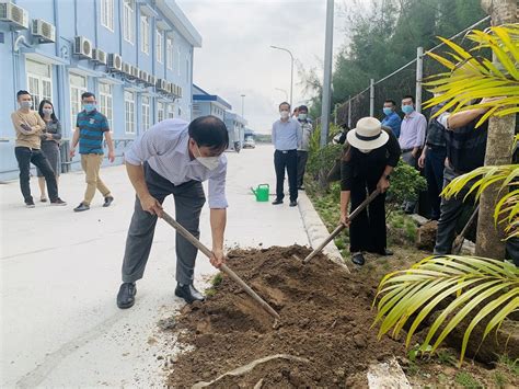 Công Ty Cổ Phần Cảng Vimc Đình Vũ Trồng Cây Xanh Hưởng ứng Phong Trào Xanh Sạch Đẹp đảm
