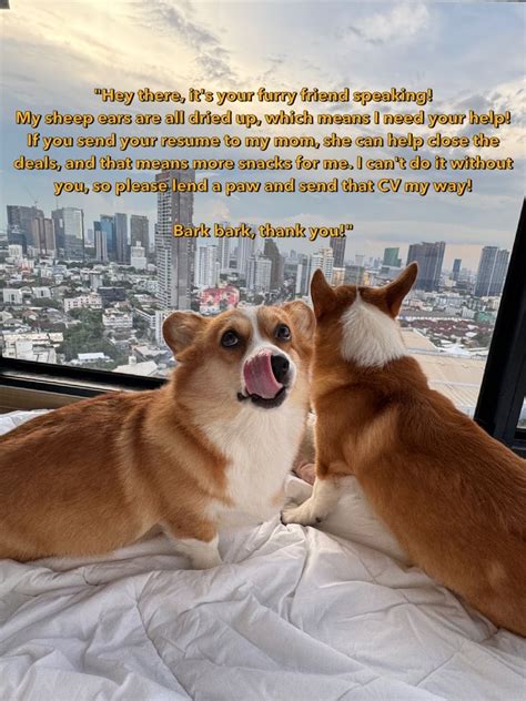 Phatcha P On Linkedin Headofit Softwareengineerjobs Softwaredevelopers Developerjobs Job