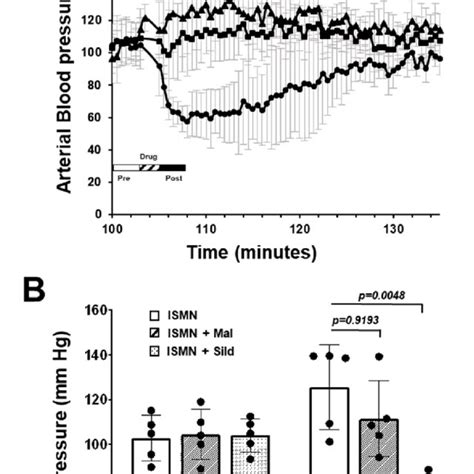 Malonyl Sildenafil Retains Pharmacological Activity With Less Potency