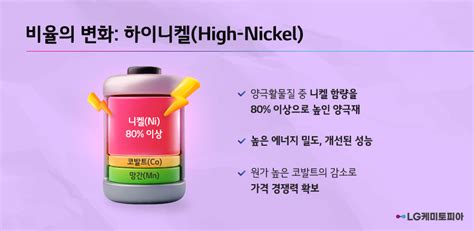 Focus On 하이니켈 단결정 양극재