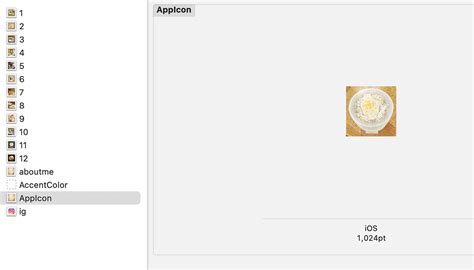 ep 5 [ wen s ios ] 運用 xcode 將app 設置 icon 彼得潘的 swift ios app 開發教室