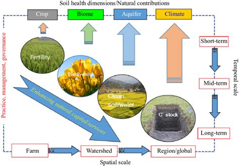 Soil Functions And Ecosystem Services Showing The Link Between Soil Download Scientific Diagram