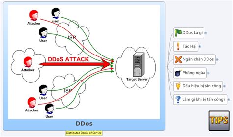distributed denial of service ddos what s it learn tech tips