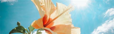 How To Make The Most Of An SAP S 4HANA System Conversion Q A